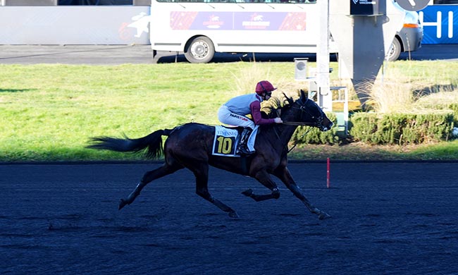 La photo de l'arrivée du PRIX DES ANDELYS course PMU du Samedi 24 ...