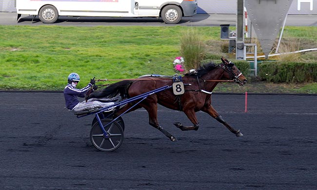 La photo de l'arrivée du PRIX DE MEADOWLANDS course PMU du Dimanche 25 ...