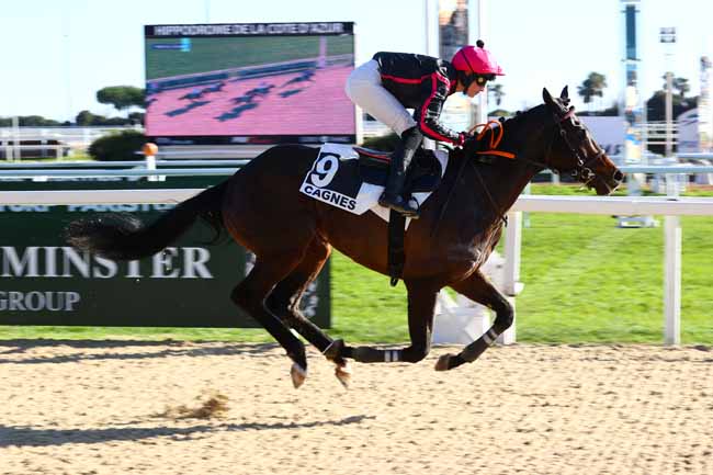 La photo de l'arrivée du PRIX DE CAILLE course PMU du Lundi 26 janvier ...