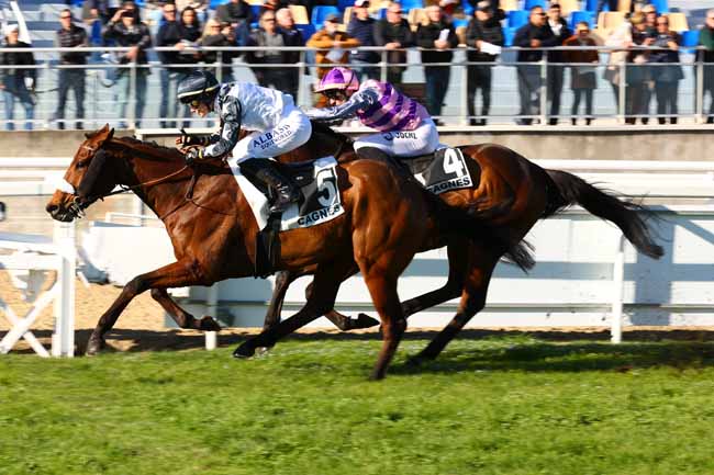 La photo de l'arrivée du PRIX DE MARSEILLE course PMU du Lundi 26 ...