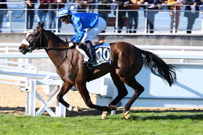 La photo de l'arrivée du PRIX DES CITRONNIERS course PMU du Lundi 26 ...