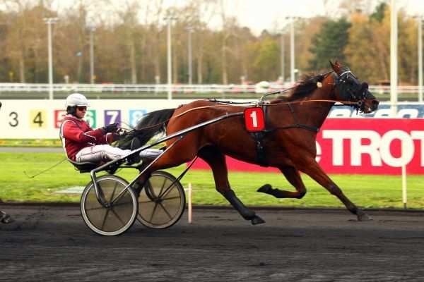 QUICK FIX - La fiche CANALTURF du cheval, performances pmu, pédigré ...