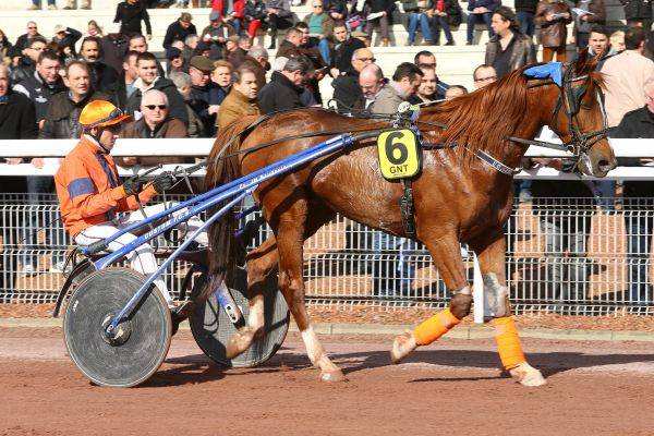 Pronostic Gratuit Du Prix Charley Mills 2 Oct 2015 Par Canalturf