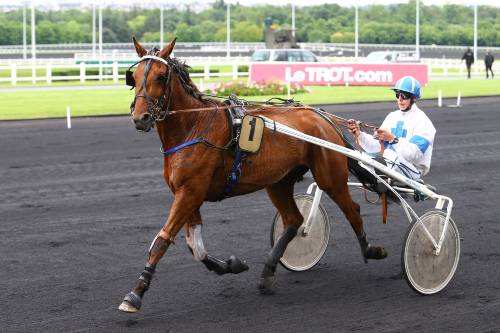 VOICI DU ROC - La fiche CANALTURF du cheval, performances pmu, pédigré ...