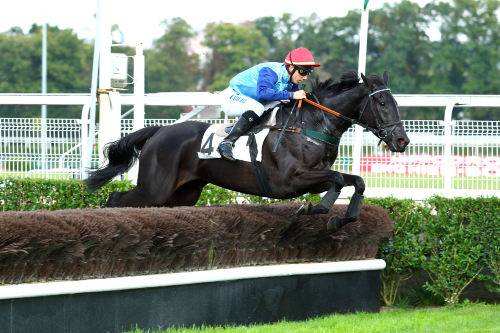 Pronostic gratuit du PRIX DU JOURNAL GENYCOURSES - PRIX ALADDIN - 2 nov ...