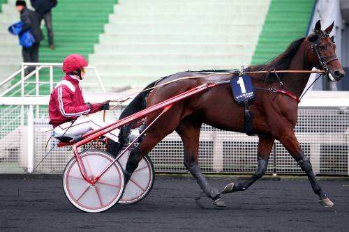 OKAY DEI RONCHI - La fiche CANALTURF du cheval, performances pmu ...