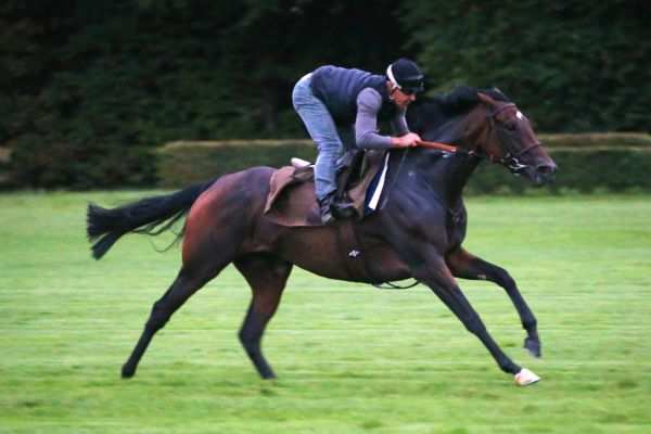 TREVE en route vers l'exploit. Christiane Head-Maarek : Au travail ...