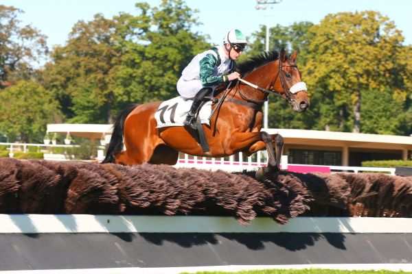 UN ROC DU GRANDVAL - La fiche CANALTURF du cheval, performances pmu ...