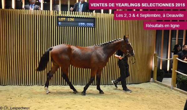 Premier jour des ventes de yearlings Arqana Trot: Le Top price pour ...