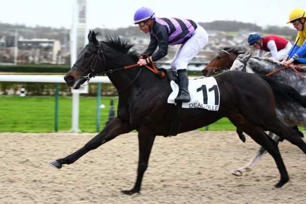 COUNTRY NEVEZ - La fiche CANALTURF du cheval, performances pmu, pédigré ...