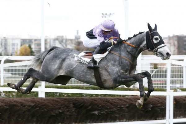 QUICK GLOTE - La fiche CANALTURF du cheval, performances pmu, pédigré ...