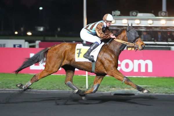 DANIEL BON - La fiche CANALTURF du cheval, performances pmu, pédigré ...