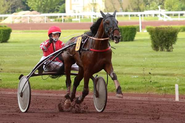 DESTIN D'ECHAL - La fiche CANALTURF du cheval, performances pmu ...