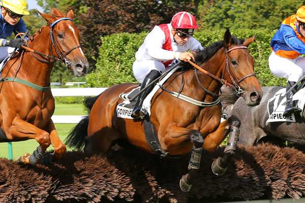 KUGAR - La fiche CANALTURF du cheval, performances pmu, pédigré ...