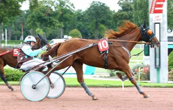 BETTY QUICK - La fiche CANALTURF du cheval, performances pmu, pédigré ...