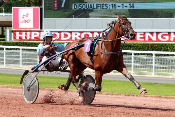 CALL ME QUICK - La fiche CANALTURF du cheval, performances pmu, pédigré ...