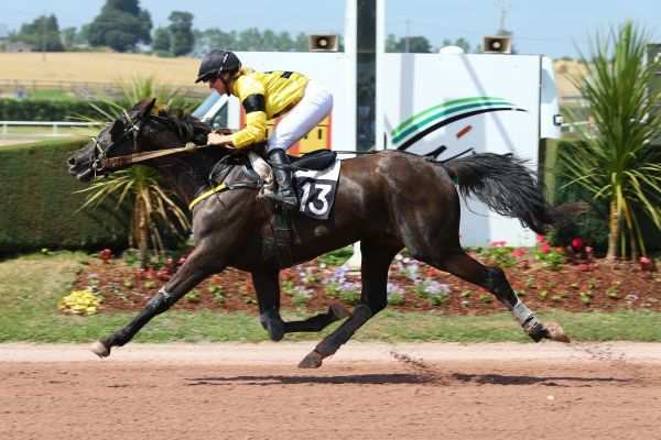 Pronostic gratuit du PRIX DE FRENOUVILLE - 17 mars 2017 par Canalturf