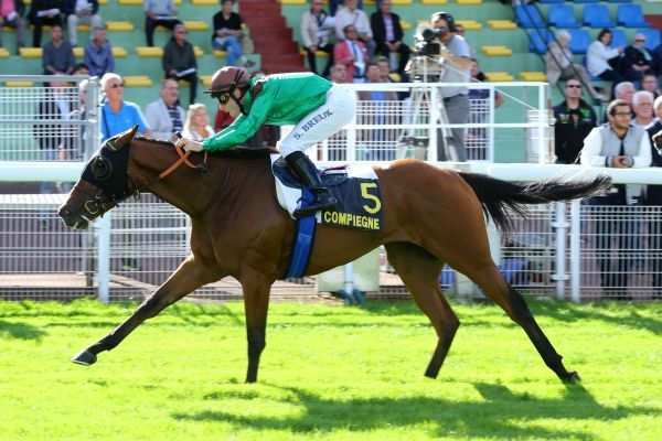 DAZARI - La fiche CANALTURF du cheval, performances pmu, pédigré ...