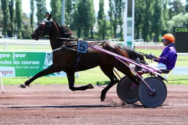 ARAVIS ROC - La fiche CANALTURF du cheval, performances pmu, pédigré ...