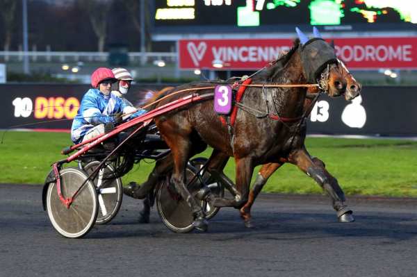 DJAG DU ROUEZO - La fiche CANALTURF du cheval, performances pmu ...