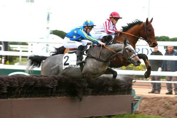 SUNDAY WINNER - La fiche CANALTURF du cheval, performances pmu, pédigré ...