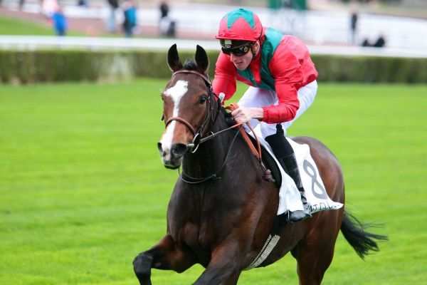 LADY FRANKEL - La fiche CANALTURF du cheval, performances pmu, pédigré ...