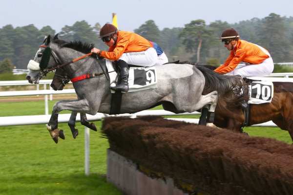 Pronostic gratuit Quinté+ Pmu Prix Auguste de Castelbajac, mardi à Pau ...
