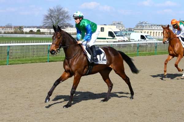 CAP VERITE - La fiche CANALTURF du cheval, performances pmu, pédigré ...