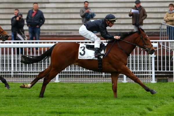 ARDENODE - La fiche CANALTURF du cheval, performances pmu, pédigré ...