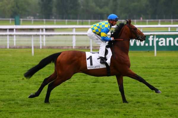 Quinté+ Prix du Paddock, mardi à Chantilly. LAND OF MIND, nouveau venu ...