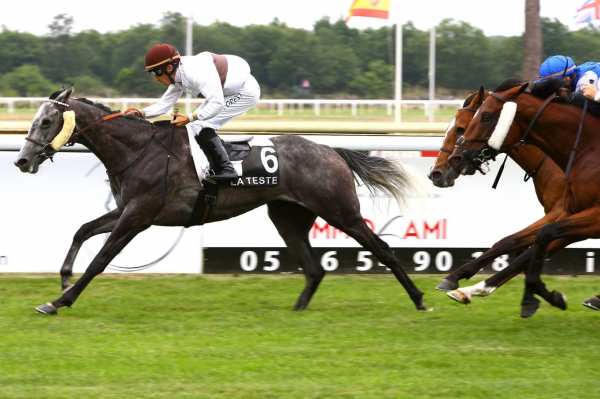 VEMIX - La fiche CANALTURF du cheval, performances pmu, pédigré ...