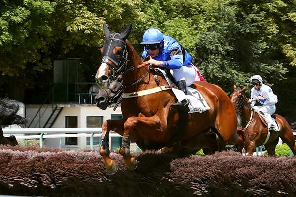 DEMAIN DES L'AUBE - La fiche CANALTURF du cheval, performances pmu, pédigré, évolution de la ...