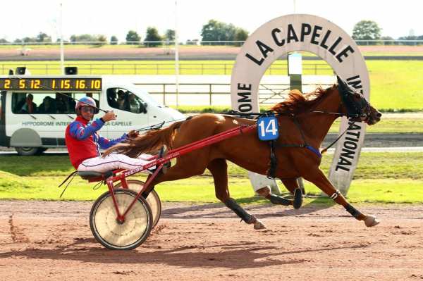 ECLAIR DU ROC - La fiche CANALTURF du cheval, performances pmu, pédigré ...