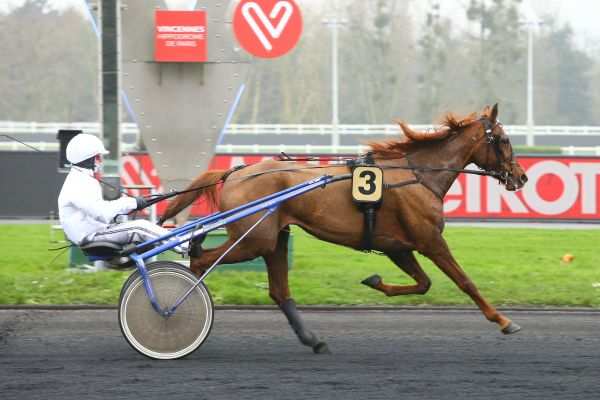 CLEMENTINE F.F. - La fiche CANALTURF du cheval, performances pmu ...