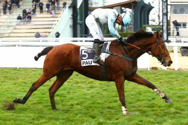 Prix Auguste de Castelbajac, mardi à Pau (R-1). ARGENTIER, mieux que l ...