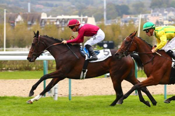 TAMNIAH - La fiche CANALTURF du cheval, performances pmu, pédigré ...