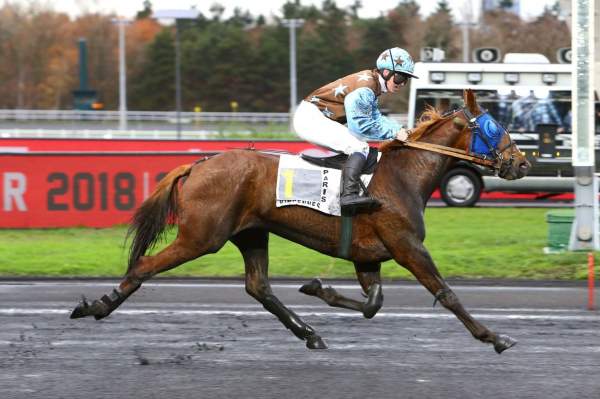 EDITION GOLD QUICK - La fiche CANALTURF du cheval, performances pmu ...