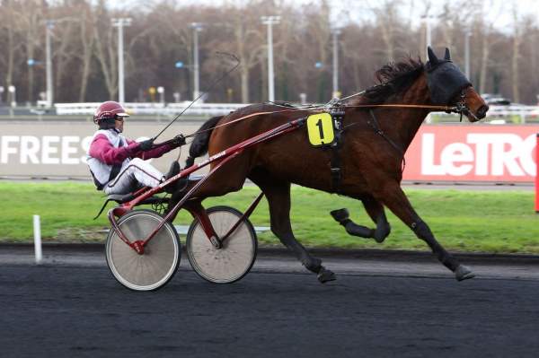 GUEST STAR ROC - La fiche CANALTURF du cheval, performances pmu ...