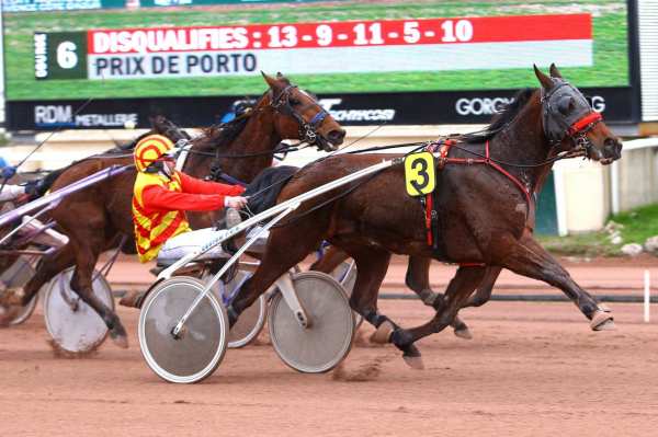 UN AS DU LANDAIS - La fiche CANALTURF du cheval, performances pmu ...