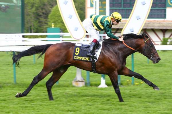 ISERMAN - La fiche CANALTURF du cheval, performances pmu, pédigré ...