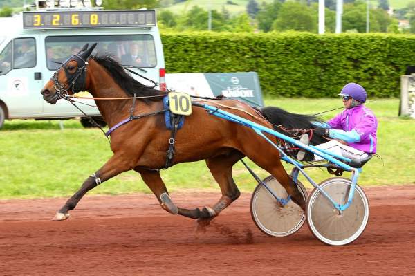 DESTRIER JIEL - La fiche CANALTURF du cheval, performances pmu, pédigré ...