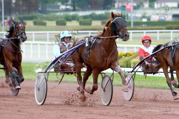 ECLAT DE QUICK - La fiche CANALTURF du cheval, performances pmu ...