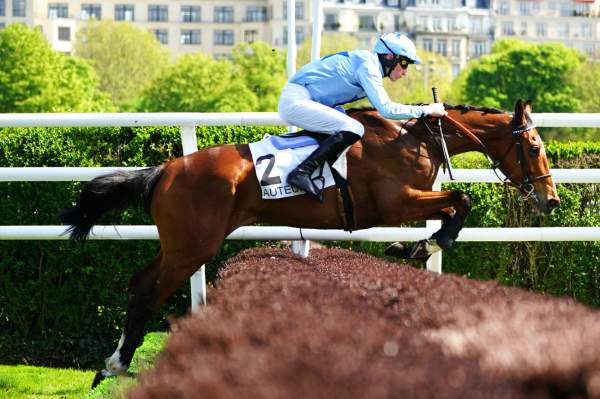 RED RISK - La fiche CANALTURF du cheval, performances pmu, pédigré ...