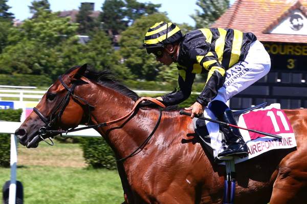 Prix Luth Enchantée (Listed-race), lundi à Clairefontaine. BIRCH GROVE ...