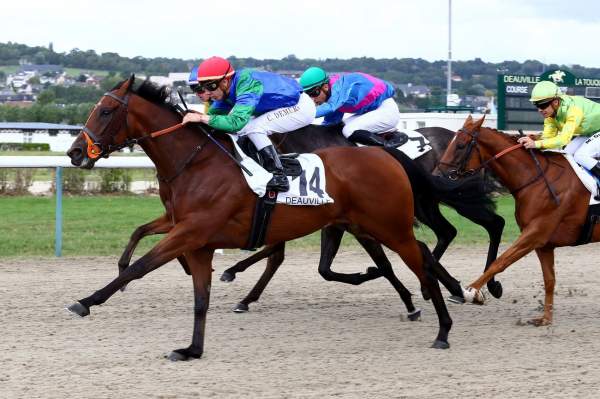 MR SLICKER - La fiche CANALTURF du cheval, performances pmu, pédigré ...