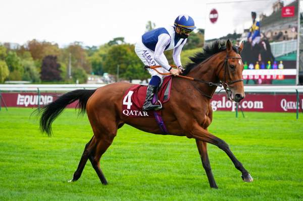 MANUELA DE VEGA - La fiche CANALTURF du cheval, performances pmu ...