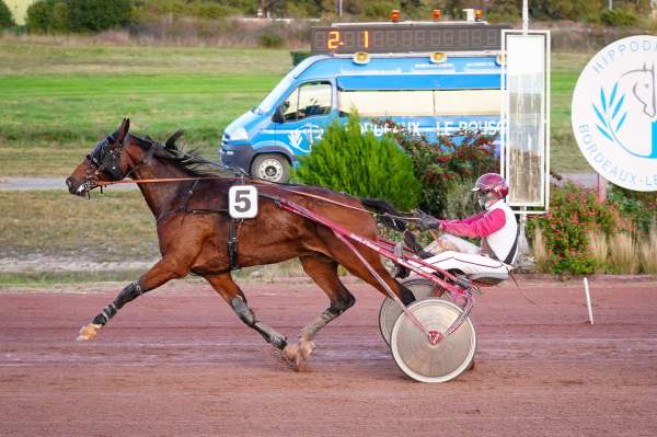 DIAMANT ROC - La fiche CANALTURF du cheval, performances pmu, pédigré ...