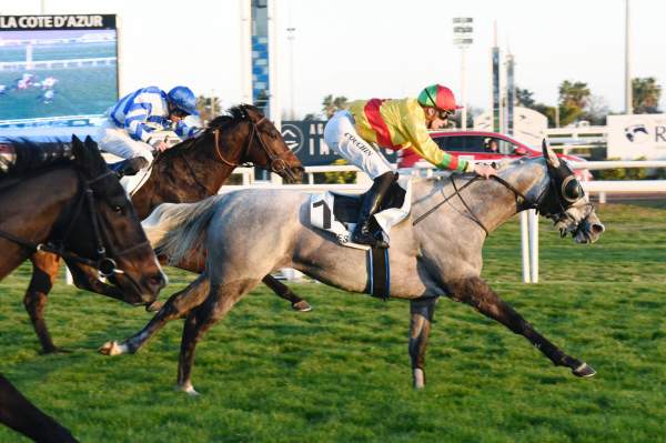 PRINCESS GOLD - La fiche CANALTURF du cheval, performances pmu, pédigré ...