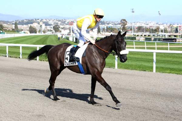 Pronostic gratuit du PRIX DU PETIT MONTROUGE - 7 mai 2023 par Canalturf