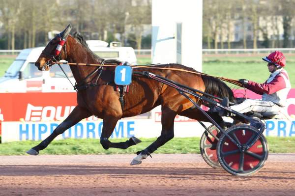 Pronostic Pmu Gratuit Quinté Pmu Grand Prix Angers Loire Métropole